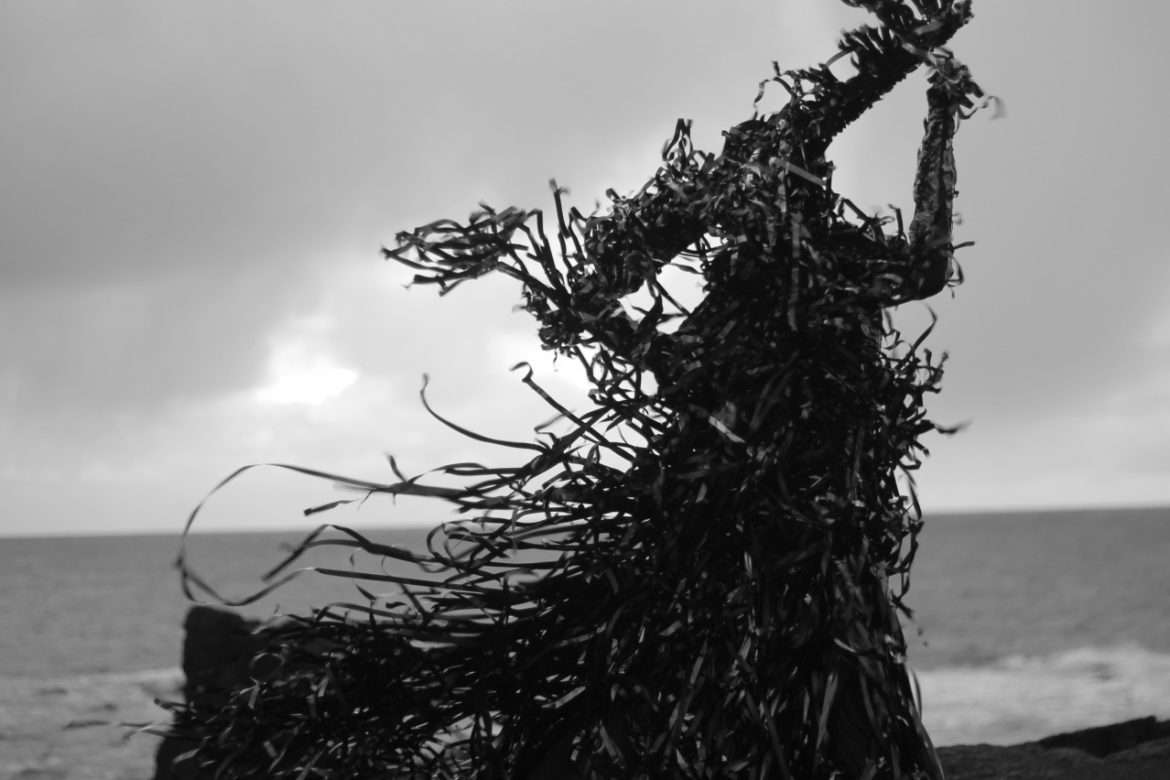 Philip Ob Rey: Obras De Arte Con VHS Descartados - RaroVHS – El Archivo ...